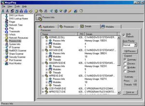 Megaping – Magneto Software